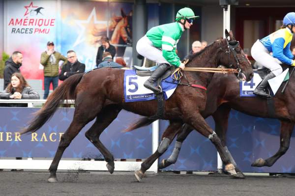 BLACKFLASH BAR - La fiche CANALTURF du cheval, performances pmu ...
