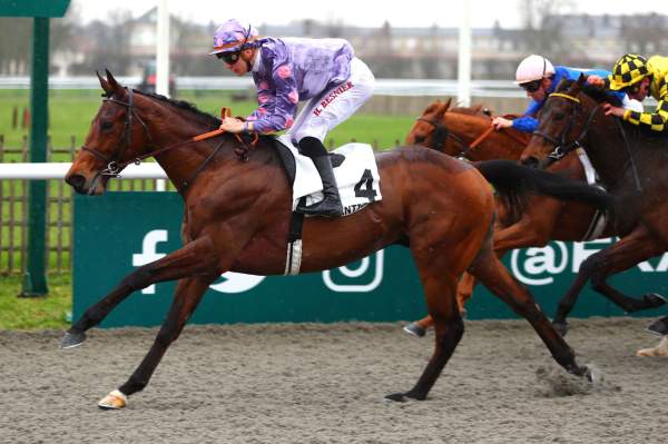 Découvrez les selections turf gagnantes et placées du Samedi 24 août ...