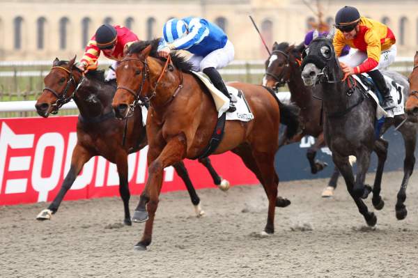 Pronostic gratuit du PRIX DE LA PIERRE TOURNANTE - 26 avr. 2024 par Canalturf