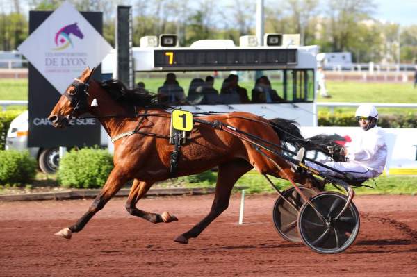 Les actualités hippiques et PMU : articles presse turf - CANAL TURF