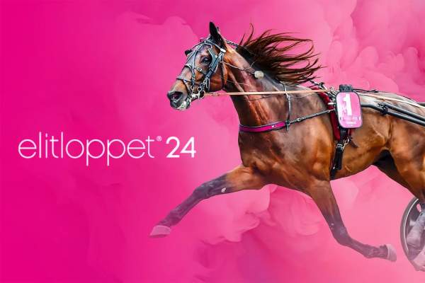 Les actualités hippiques et PMU : articles presse turf - CANAL TURF