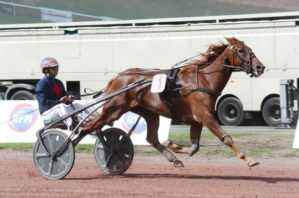 Pronostic gratuit du PRIX CERES - 29 nov. 2024 par Canalturf