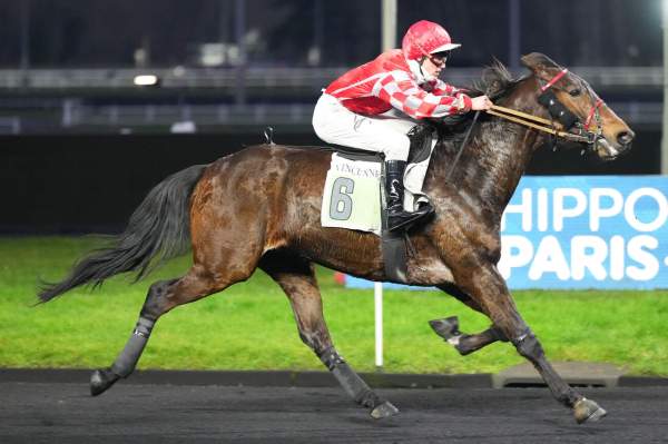 Pronostic Gratuit Du Prix De Rethel 6 Févr 2025 Par Canalturf