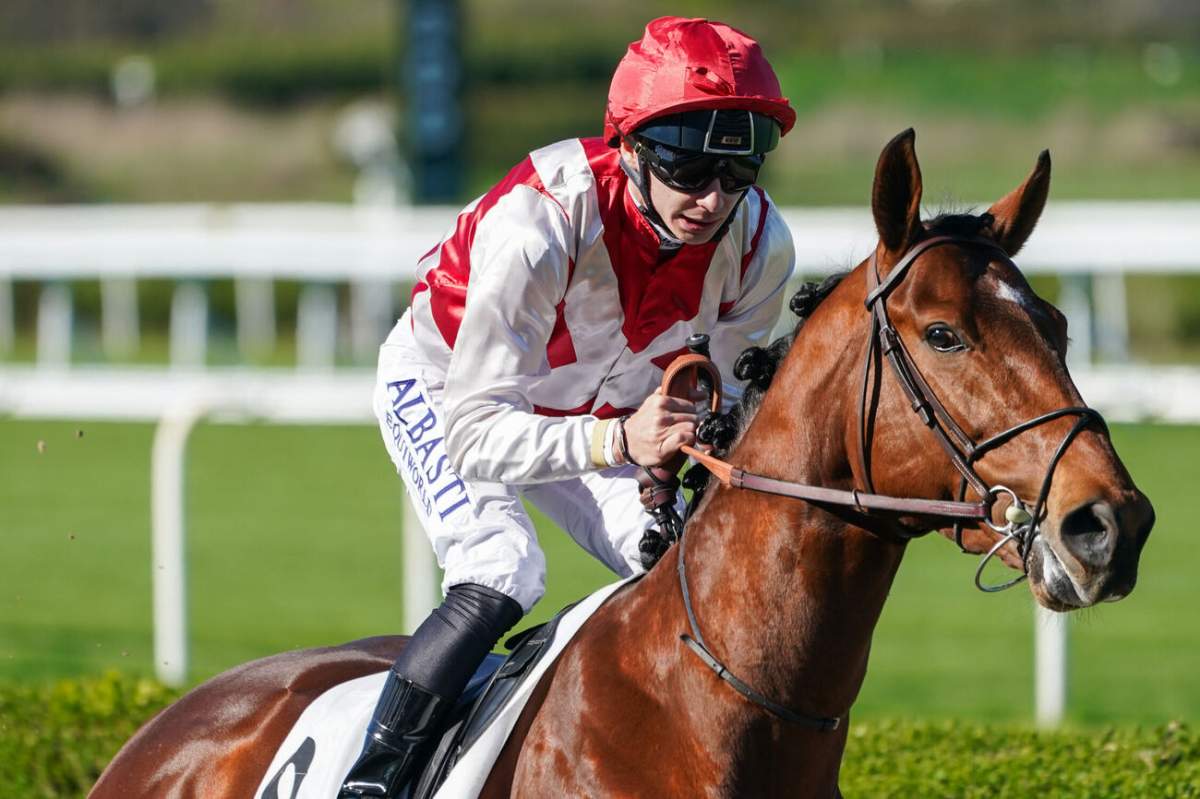 Pronostic gratuit du PRIX BON ENTENDEUR - L'AMOUR A LA PLAGE (PRIX ...