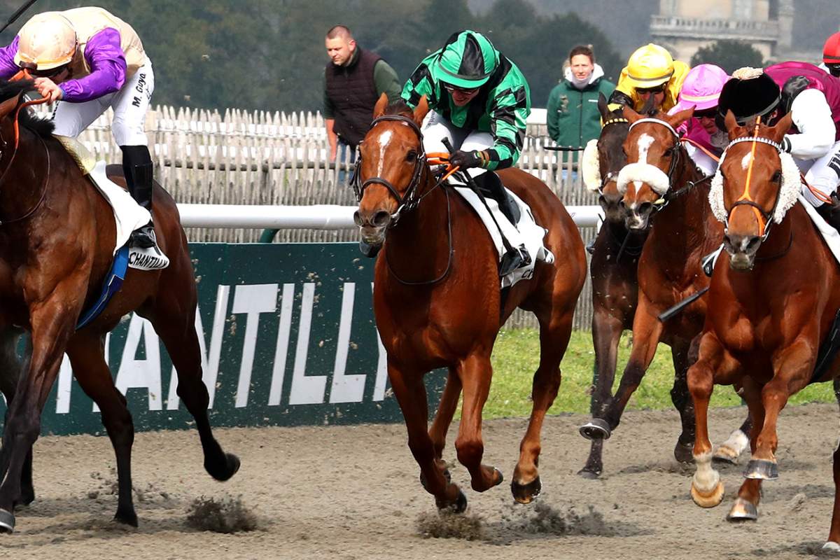 Pronostic gratuit du PRIX DE LA FORET DE COMPIEGNE - 9 juin 2025 par Canalturf