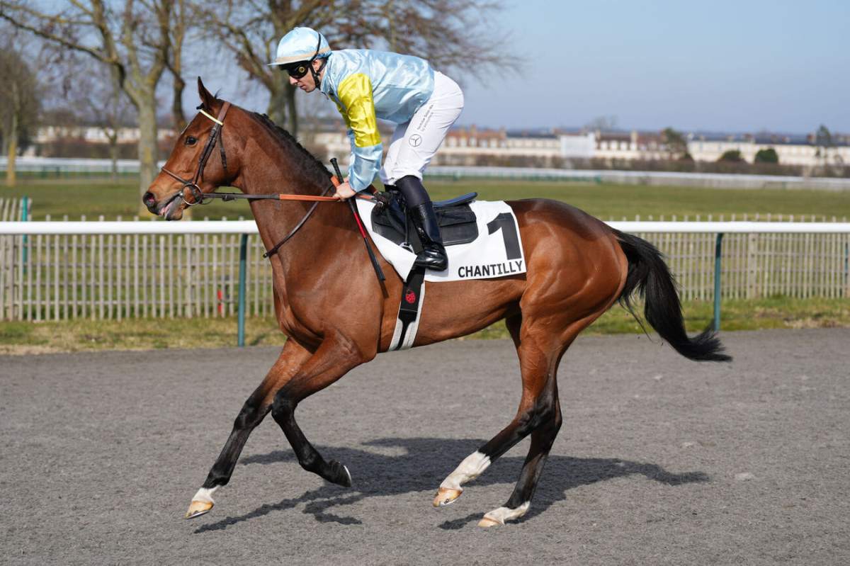 Pronostic gratuit du PRIX FEDER - GOODBYE (PRIX ROSELIERE) - 8 août ...