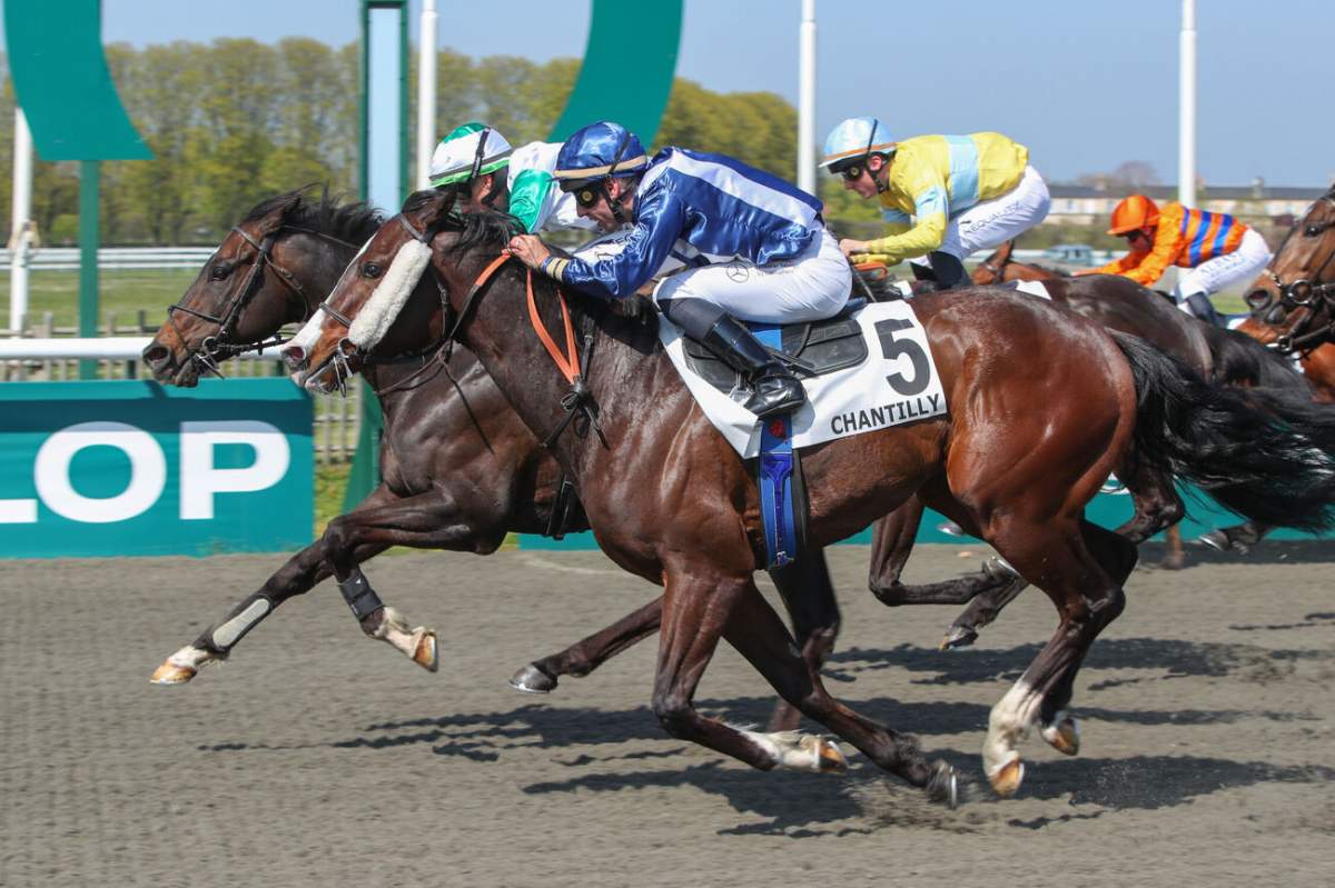 Pronostic gratuit du THE AGA KHAN STUDS PRIX DE GLANVILLE - 17 août 2025 par Canalturf