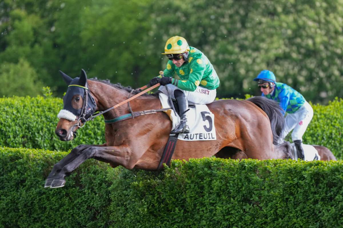 Pronostic gratuit du PRIX FERDINAND DUFAURE - 18 mai 2025 par Canalturf