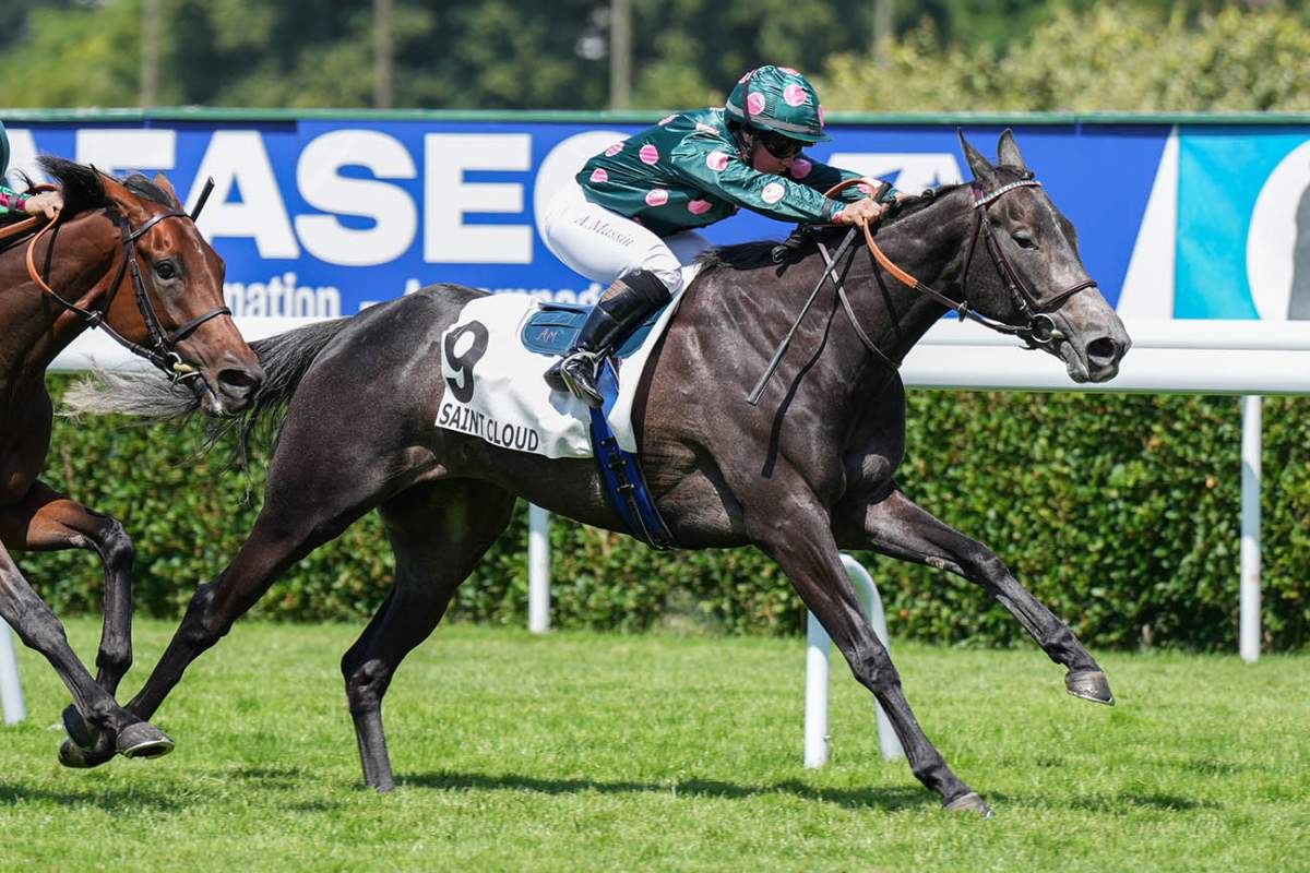 Pronostic gratuit du PRIX DE LA PIE VOLEUSE - 2 août 2025 par Canalturf