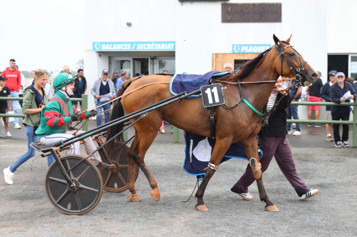 Pronostic gratuit du PRIX GILBERT ET JEAN-PIERRE GAILING - 24 août 2025 ...